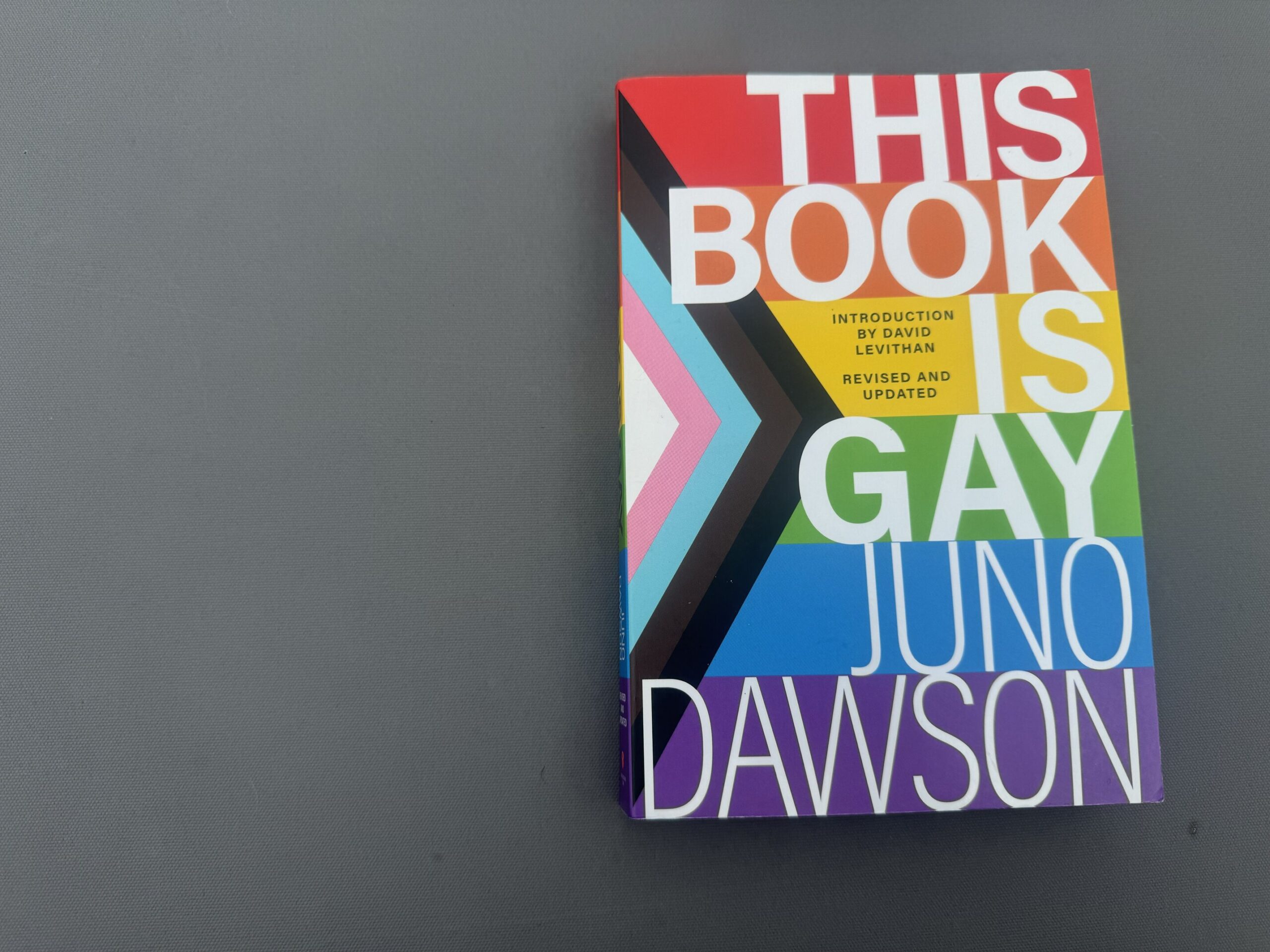 This book is gay - Everyday Adventures